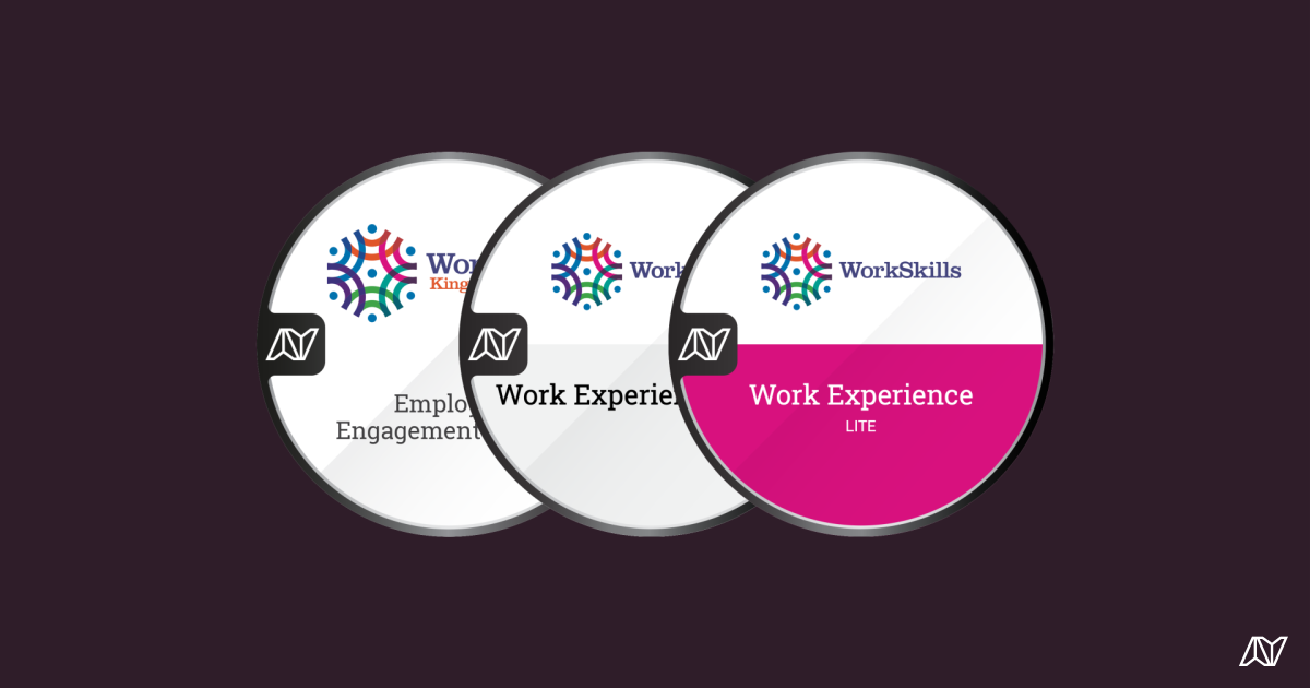 Work Experience Tips by Workskills — Navigatr